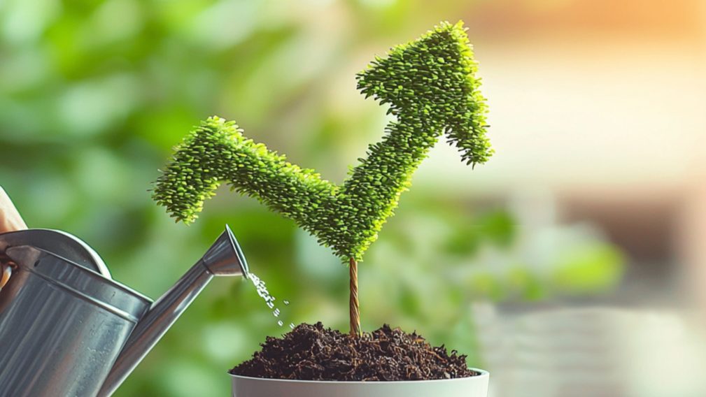 Представете се при нас! - divna.Tech © 2025